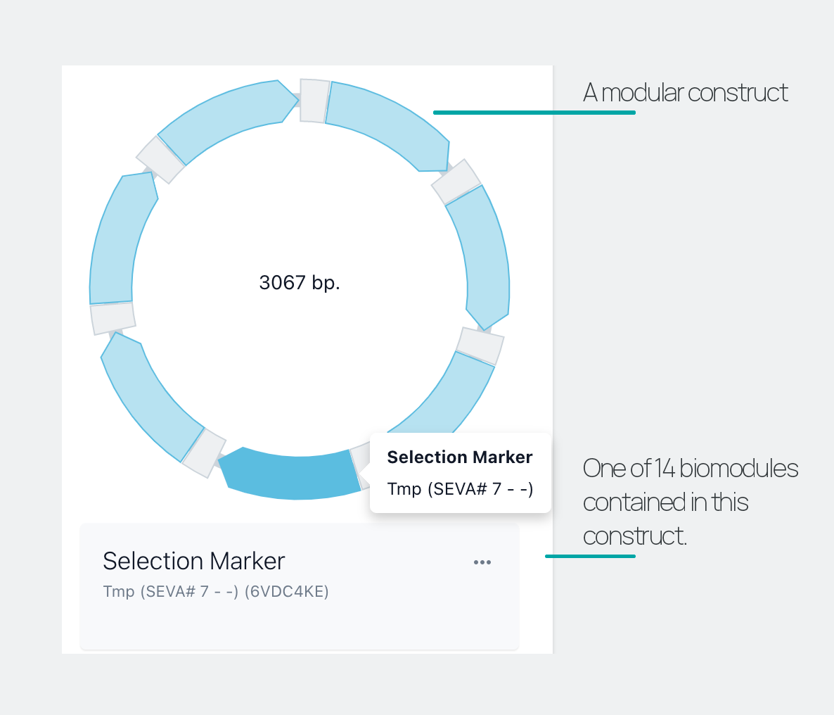 Introduction to Biomodules